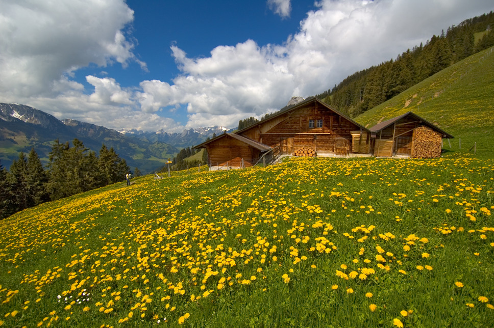 Bekijk de foto's van ons resort | Dormio Resort Obertraun